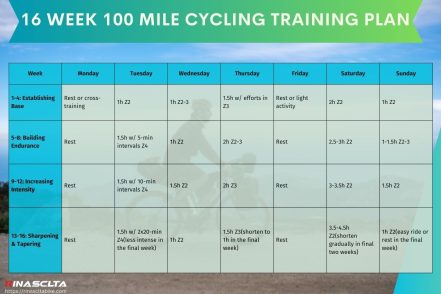 Cycling training Plan: Training zone, plans for all level cyclists and ...