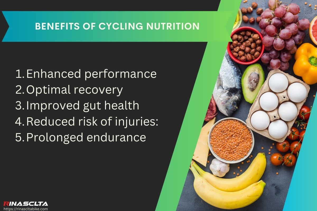 Cycling nutrition: what is it, plan, diet and risks