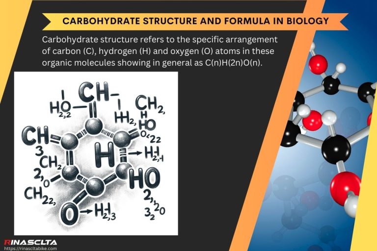 Carbohydrates: definition, function, daily intake, sources, benefits ...