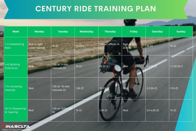 Cycling training Plan: Training zone, plans for all level cyclists and ...