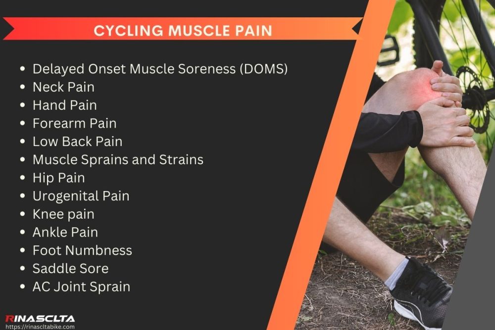 What muscles does cycling work: in different types, pain and injury ...