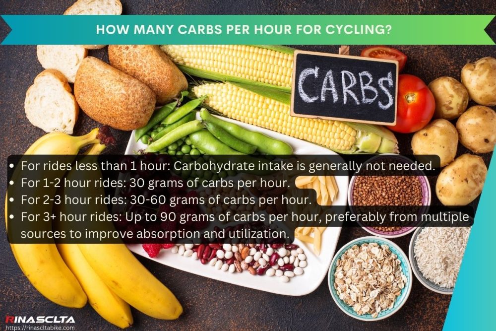 Cycling nutrition: what is it, plan, diet and risks