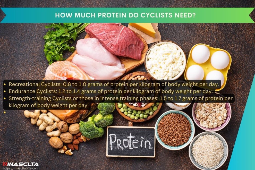 Cycling nutrition: what is it, plan, diet and risks