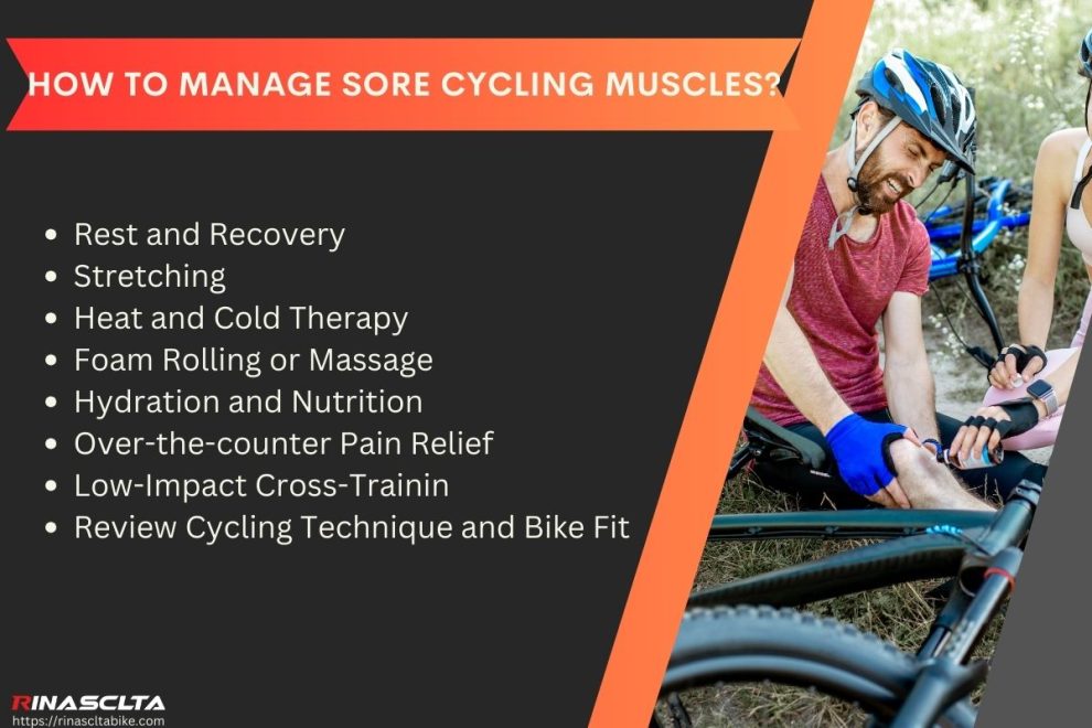 What muscles does cycling work: in different types, pain and injury ...