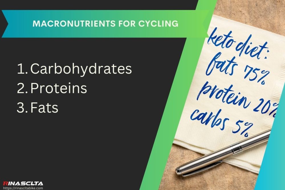 Cycling nutrition: what is it, plan, diet and risks