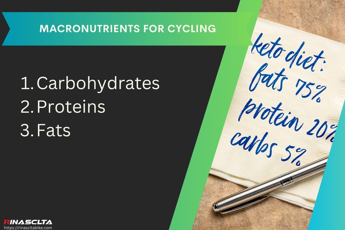 Cycling nutrition: what is it, plan, diet and risks
