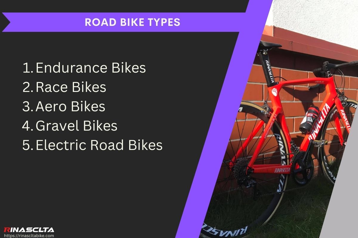 Road cycling: what is it, equipment, racing, how to ride and training plans
