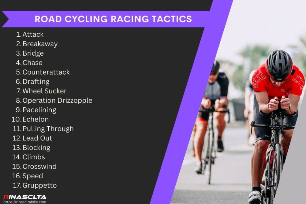 Road cycling: what is it, equipment, racing, how to ride and training plans