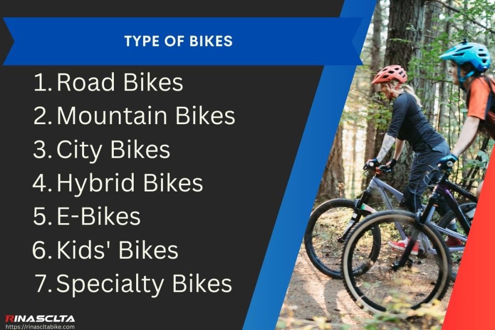 Cycling equipment: gears, accessories and how to choose