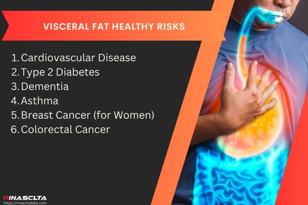 Does cycling burn belly fat? Causes and how to lose belly fat from biking