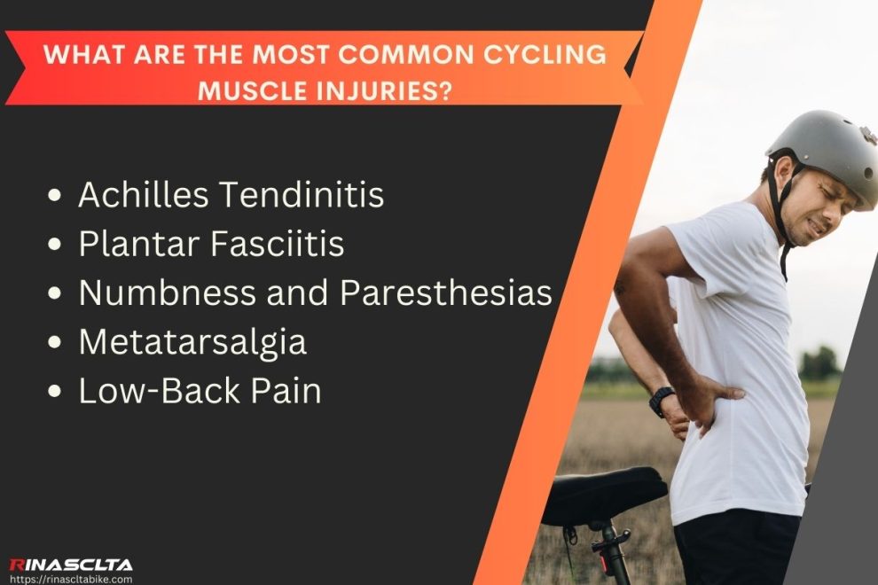 What muscles does cycling work: in different types, pain and injury ...