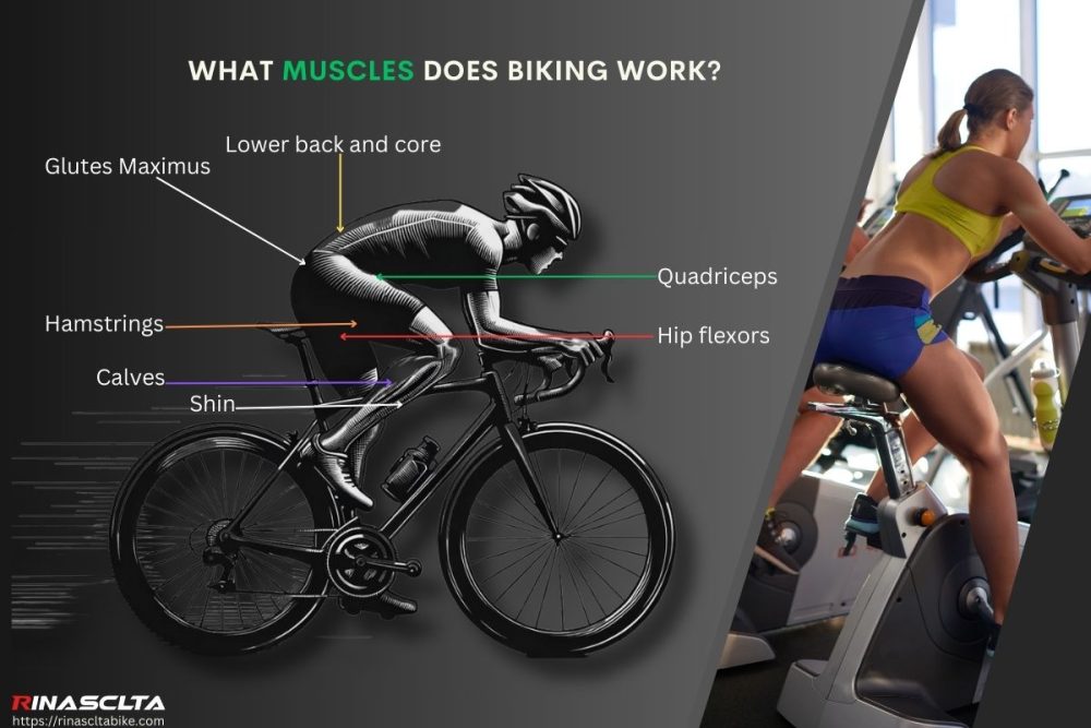 20 Health Benefits of Cycling: Physical, Psychological and Environmental