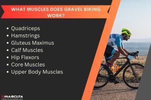 What muscles does cycling work: in different types, pain and injury ...