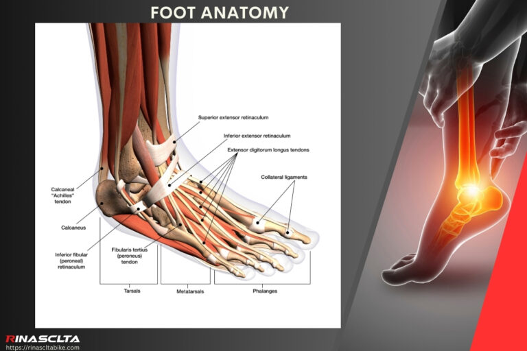 Cycling foot pain: types, causes and how to prevent