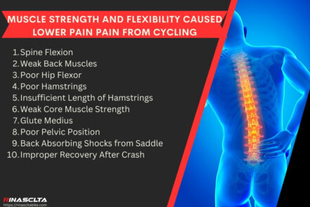 Lower back pain cycling: common types, what causes, how to fix and avoid