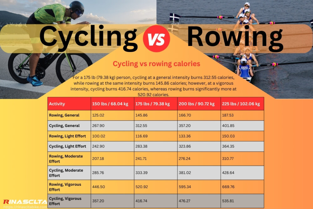 Rowing vs Cycling: benefits, disadvantages, similarities and differences