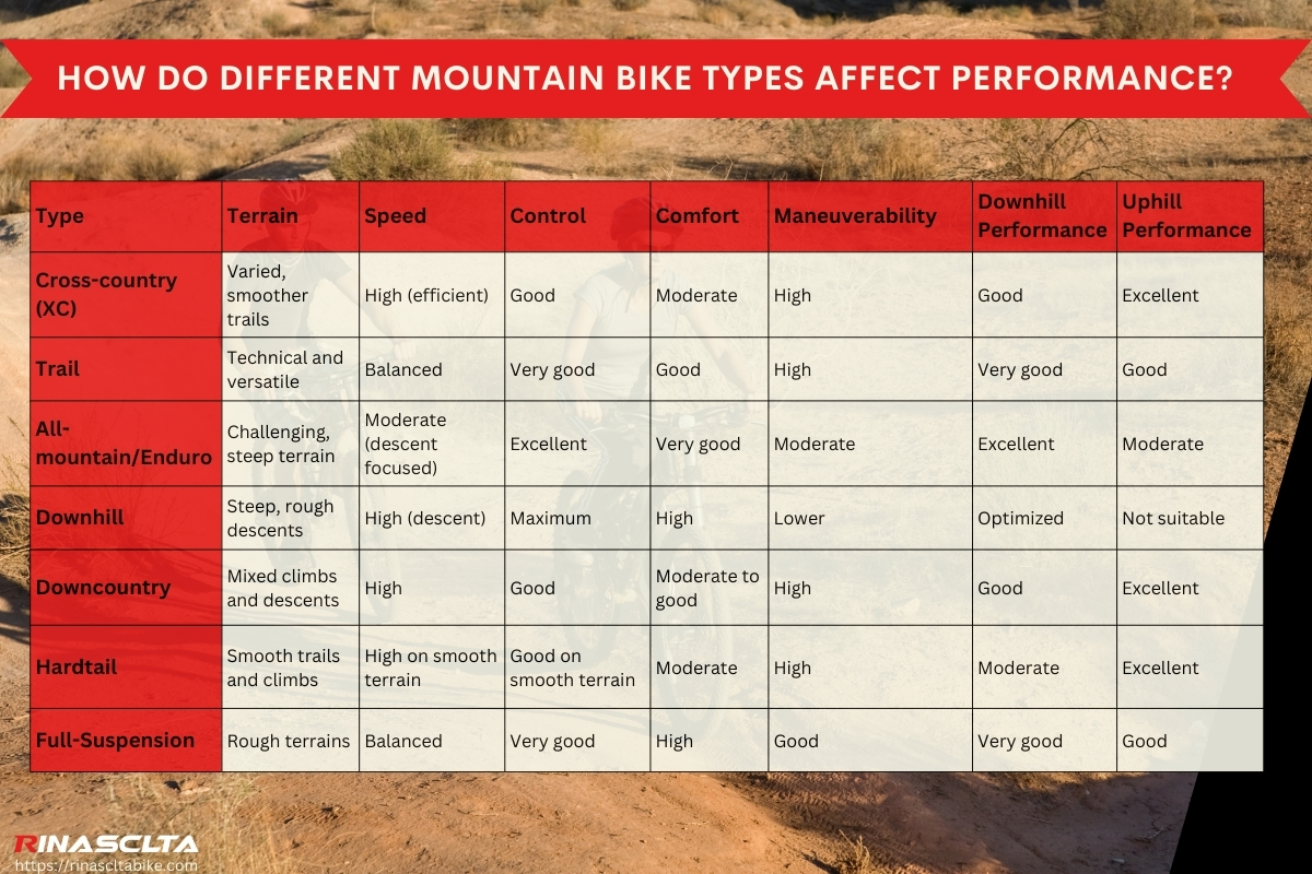 Mountain biking: what is it, equipment, racing, how to ride and ...