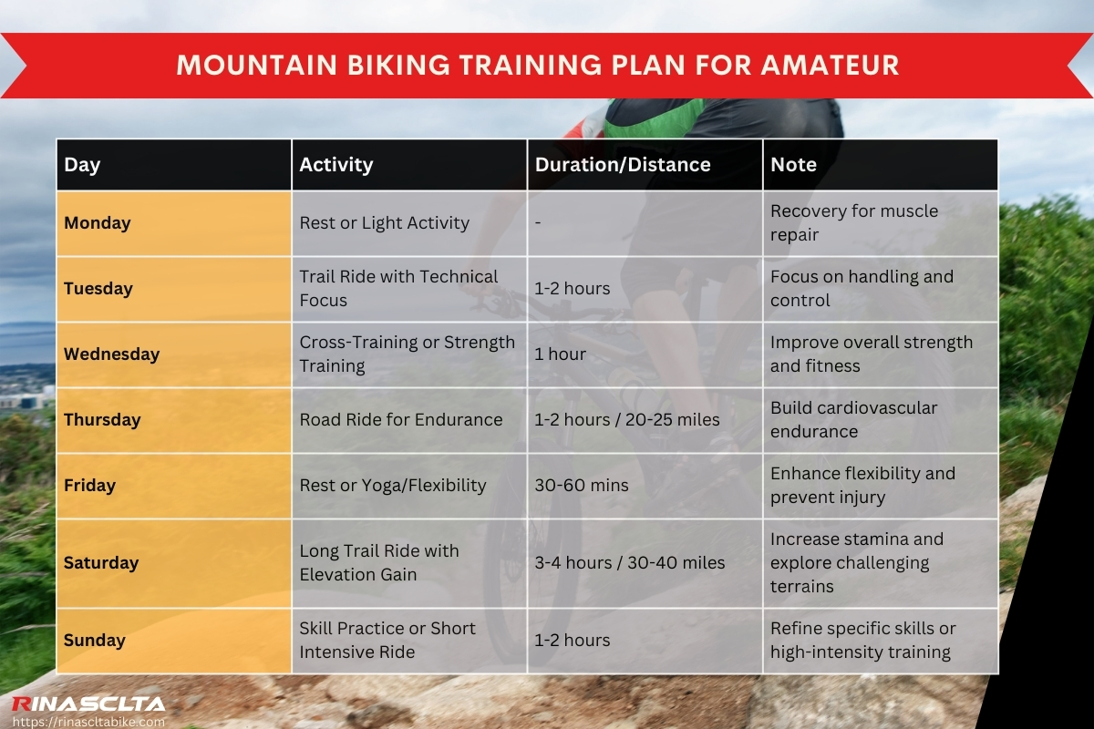 Mountain biking: what is it, equipment, racing, how to ride and ...
