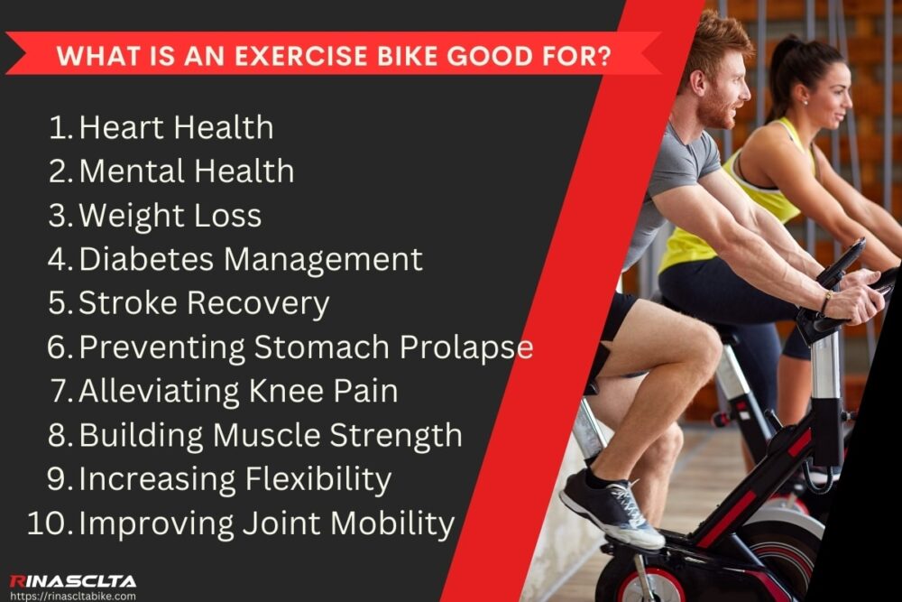 12 Benefits of Exercise bike: types, differences and workout plan