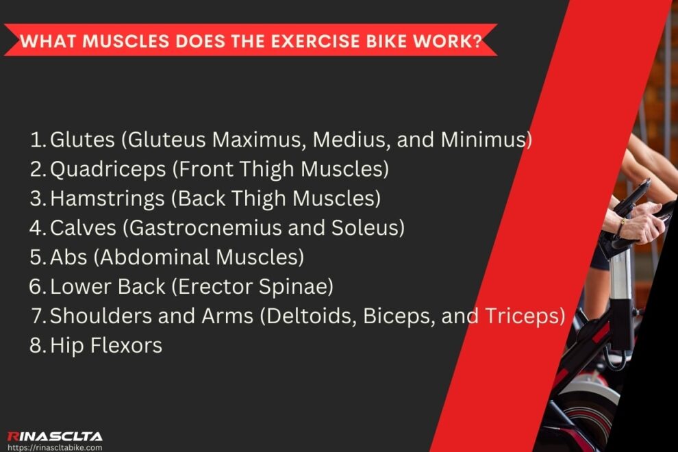 12 Benefits of Exercise bike: types, differences and workout plan