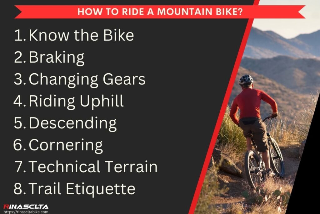 Mountain bike: what is it, how to select and maintain