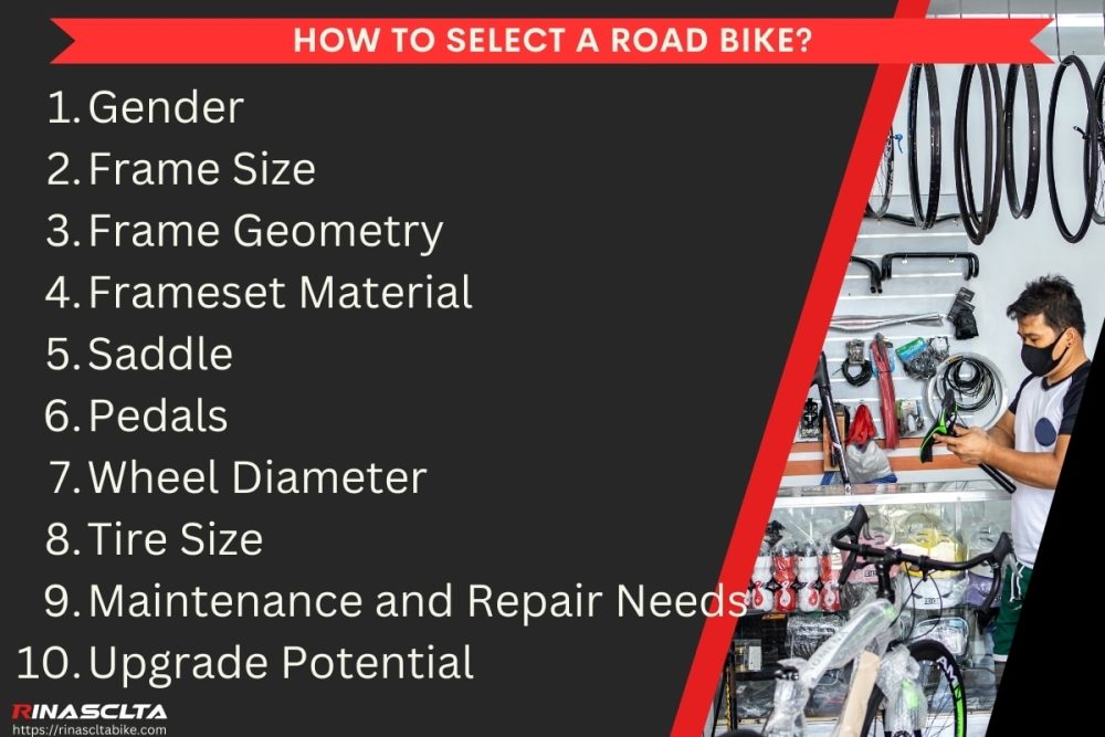 Road bike: what is it, how to select and maintain