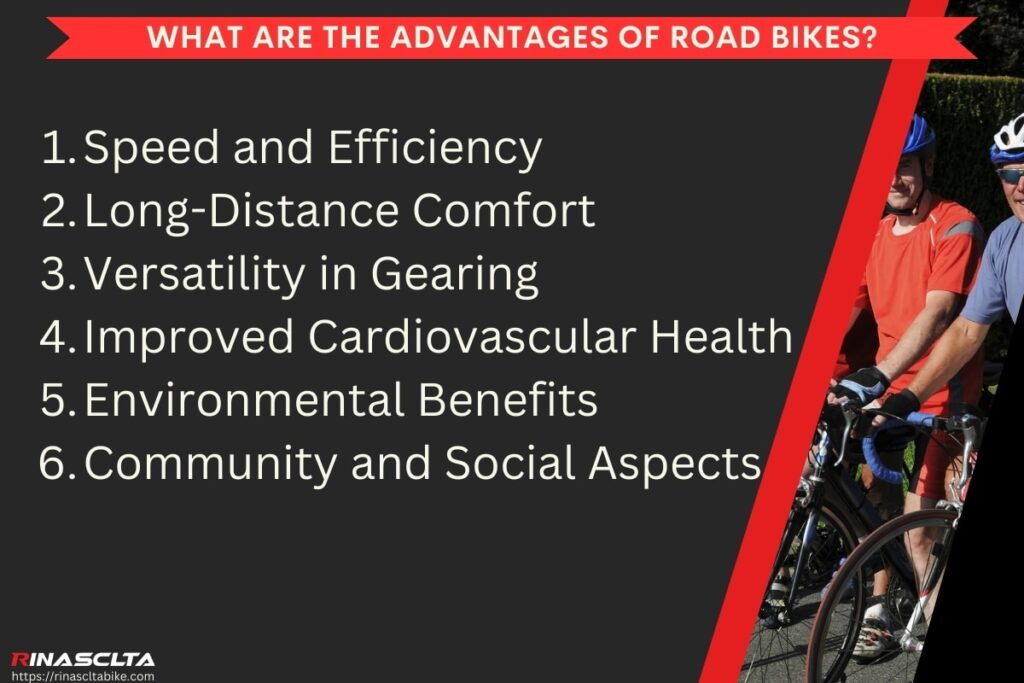 Road bike: what is it, how to select and maintain