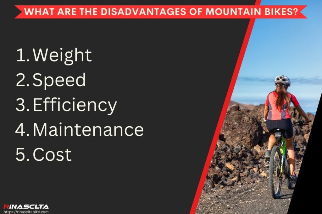 Mountain bike: what is it, how to select and maintain