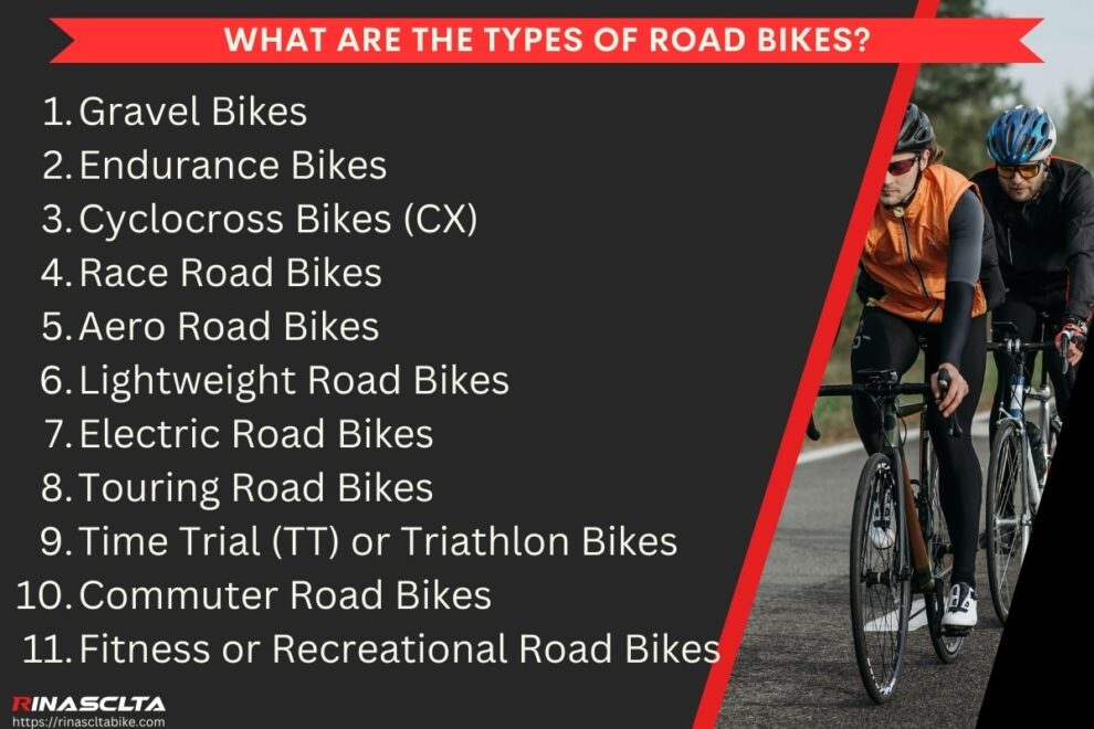 Road bike: what is it, how to select and maintain