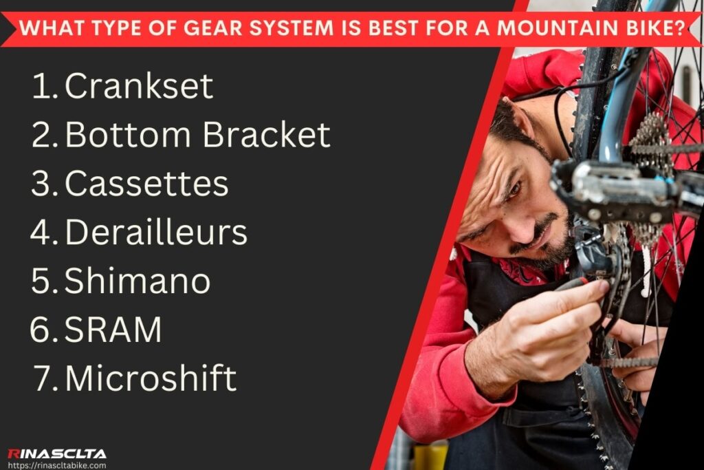 Mountain bike: what is it, how to select and maintain