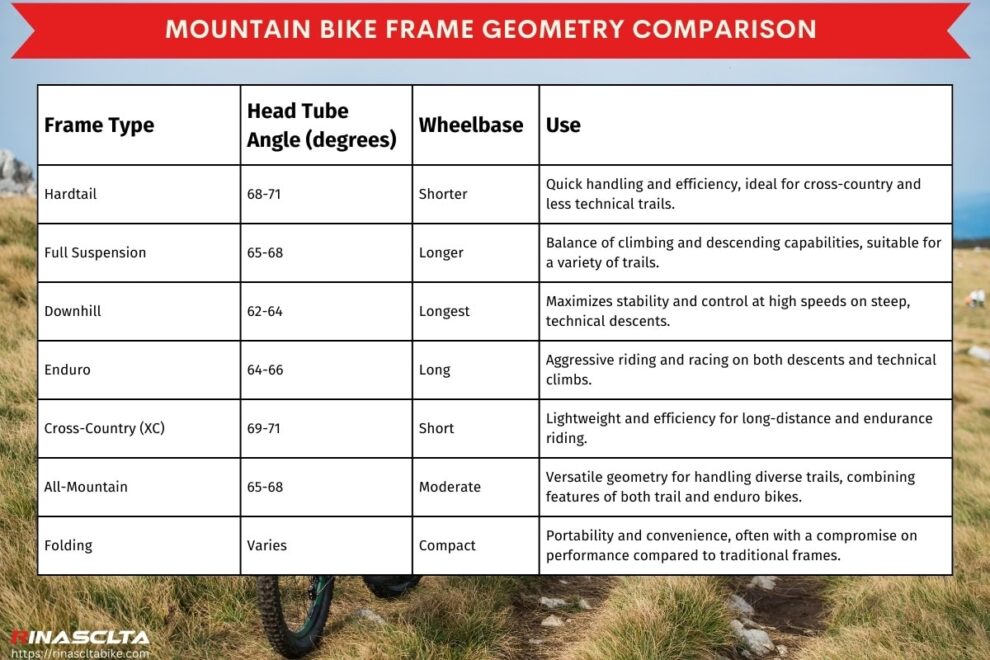 Mountain bike frame: materials, types, sizes and maintenance