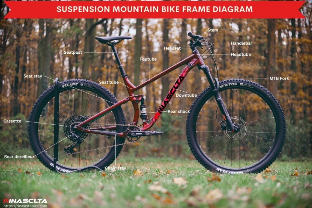 Mountain bike frame: materials, types, sizes and maintenance