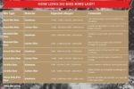 Bike rim: materials, types, sizes and lifespan
