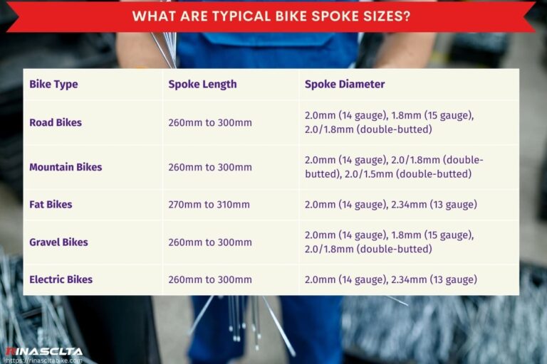 Bike spokes: materials, types, sizes and lifespan