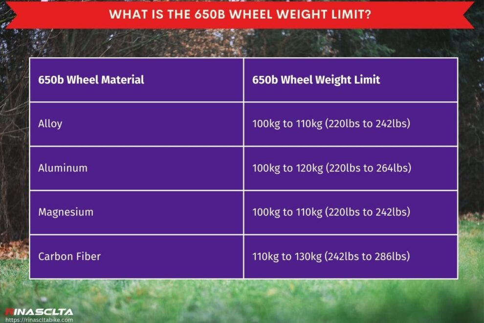 650b Wheels: definition, types, size, and maintenance