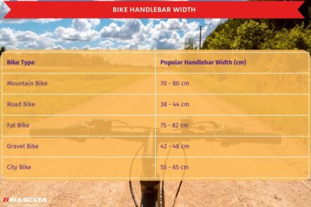 Bike handlebars: definition, types, materials, dimensions, and how to ...