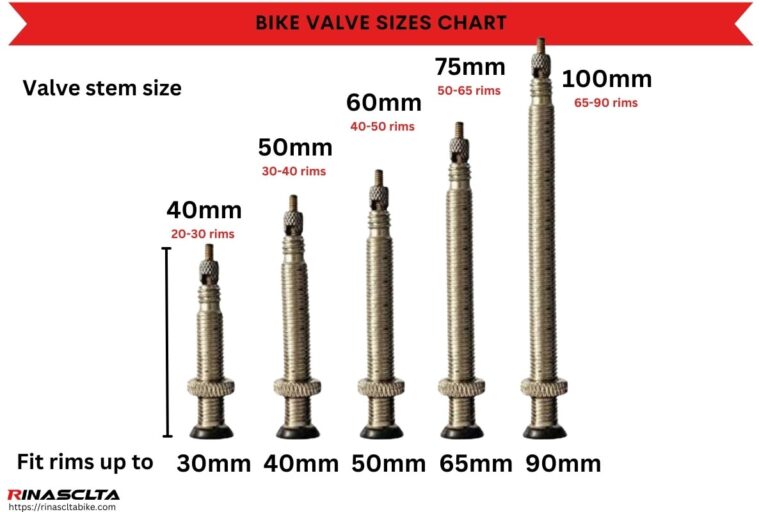 Bike tire valves: definition, types, pumps, and how to choose