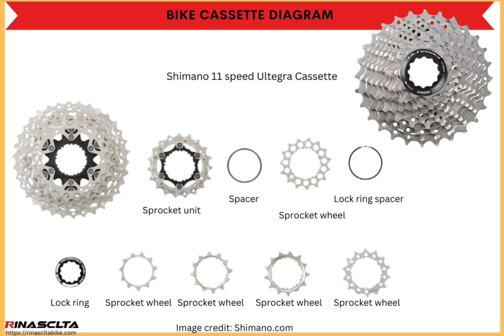 Bike cassette: definition, types, compatibility and how to choose