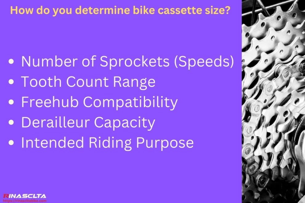 Bike cassette: definition, types, compatibility and how to choose