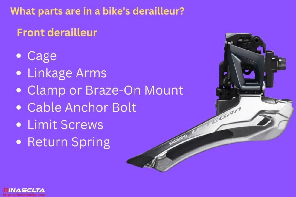 Bike derailleur: definition, types, how to choose and adjust