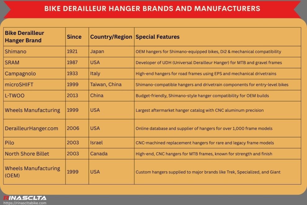 Bike derailleur hanger: definition, types, how to choose and adjust
